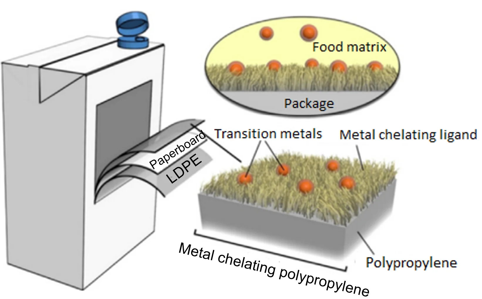 Antimicrobial Agents: Types, Mechanisms, & Uses
