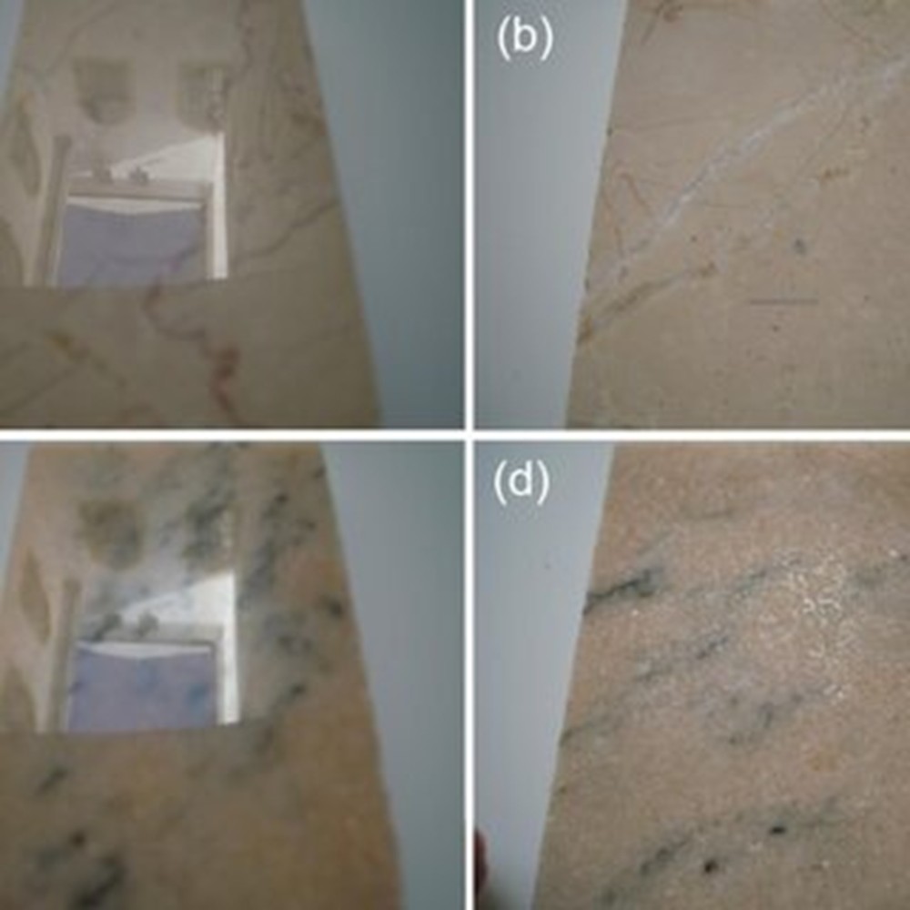 Retain Gloss in Paints and Coatings