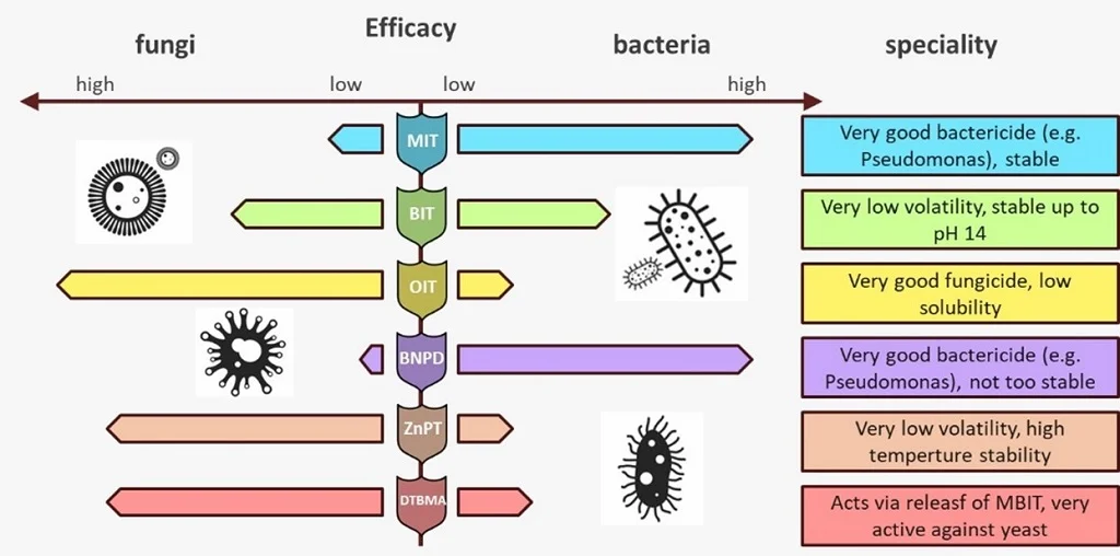 Microbial Resistance: The Protective Shield for Coatings