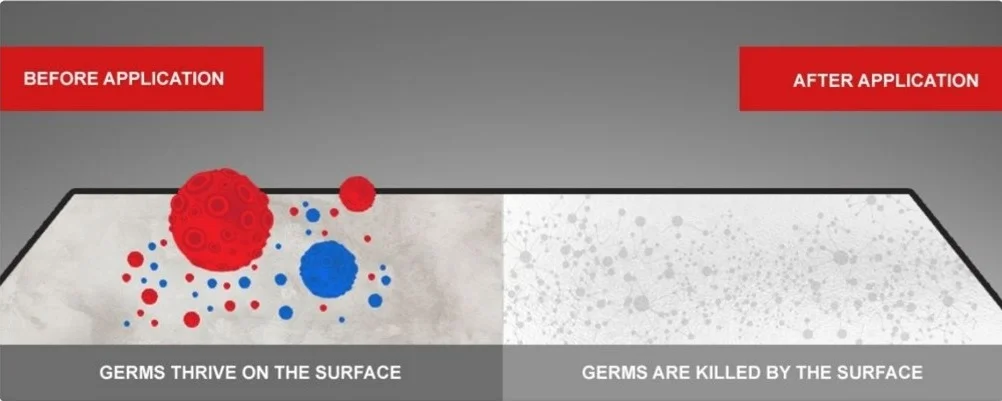 Microbial Resistance: The Protective Shield for Coatings