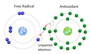 Antioxidants & Stabilizers for Polyolefins (PP, PE) | Selection Guide