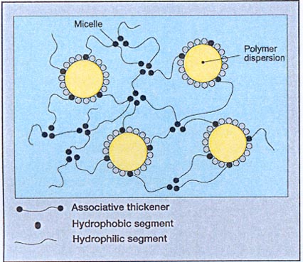 Rheology Modifiers Selection for Paints & Coatings