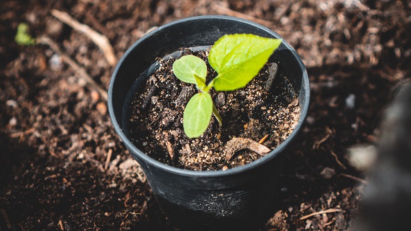 BASF Sets Targets to Reduce Scope 3.1 Emissions by 2030