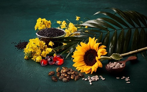 Achieving Ambitious Sustainability Targets with Palsgaard’s Plant-based ...