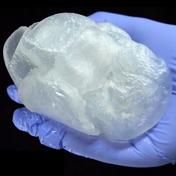 Scientists Develop 3DP Human Heart Model with Real Cardiac Tissue-like ...