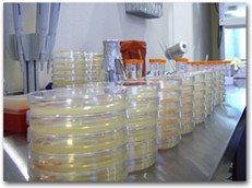 The Ultimate Guide to Cosmetic Preservative Selection