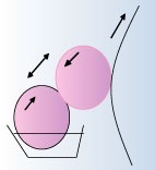 Coil Coatings Paint: Process, Types and Applications