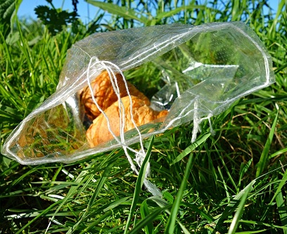 Edible Food Packaging Film Derived from Plants