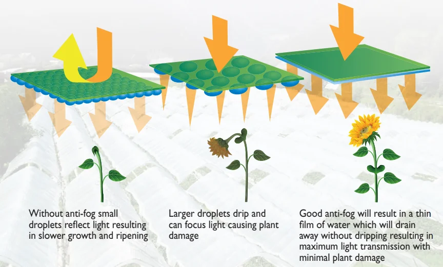 Anti-fogging in Plastics - Additives, Methods & Applications