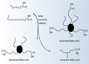Polyester Polyols for Water-Resistant Polyurethane Coatings