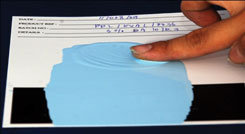 Compatibilizing Paints and Colorants