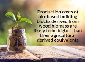 Advancements in Wood Biomass Derived Bio-products