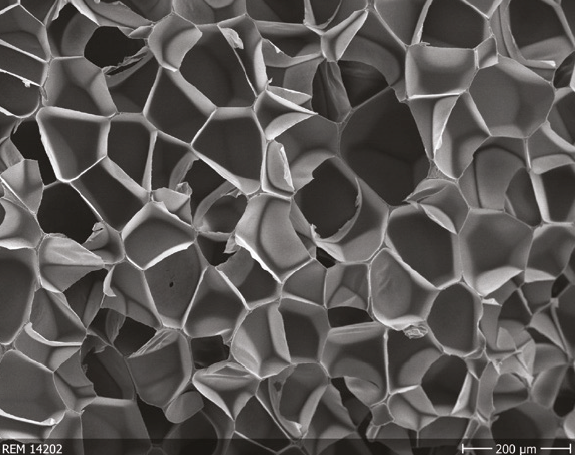 What’s Happening in Bioplastics Development!