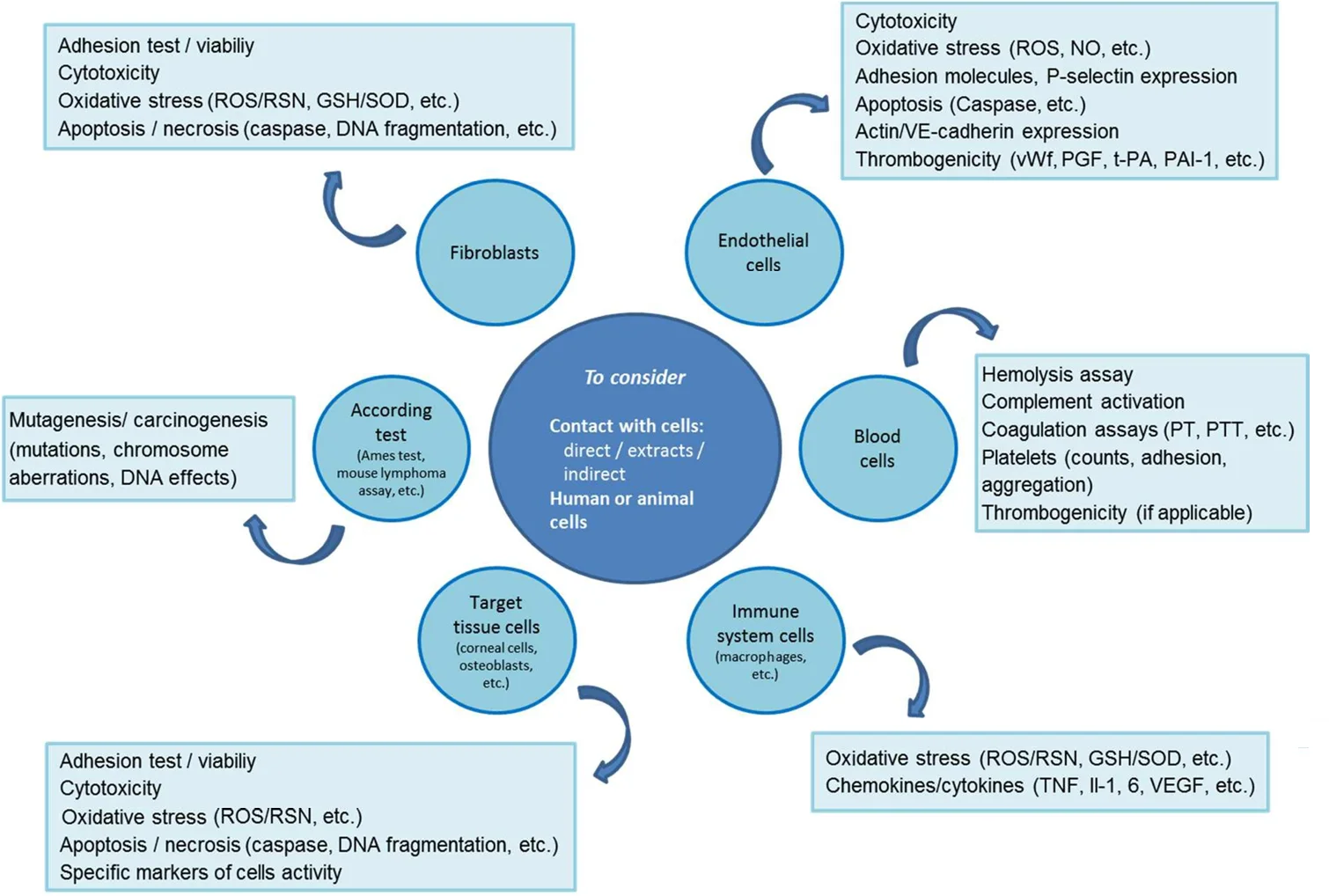 Biocompatibility Screening Methods Regulations And Uses