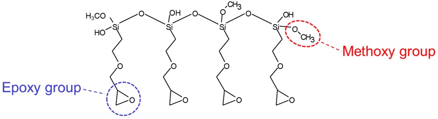 Coating Adhesion & Formulation Additives