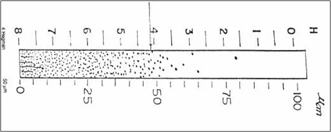 Fineness of Grind: Importance, Testing Methods, and Gauges