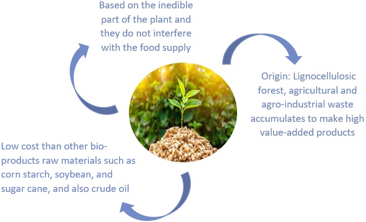 Bioplastics and High Value-added Bioproducts Derived from ...