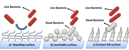 Microbial Resistance: The Protective Shield for Coatings
