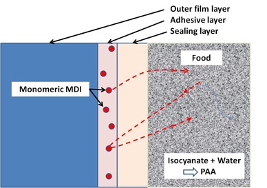 Migresives in Flexible Food Packaging: Solventless Polyurethane Adhesives