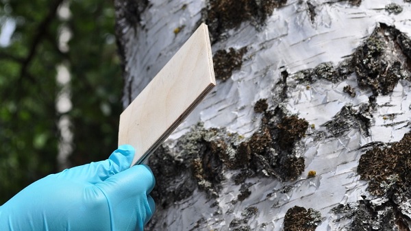 New Eco-glue Replaces Formaldehyde in Wood Construction