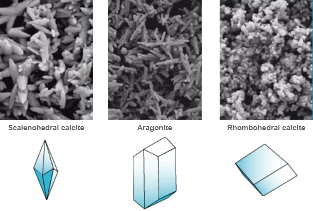 Precipitated Calcium Carbonate – Multifunctional Additive for PVC