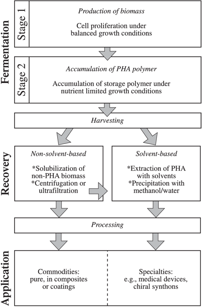 Polyhydroxyalkanoates (PHAs): Types, Properties, Chemical Structure ...