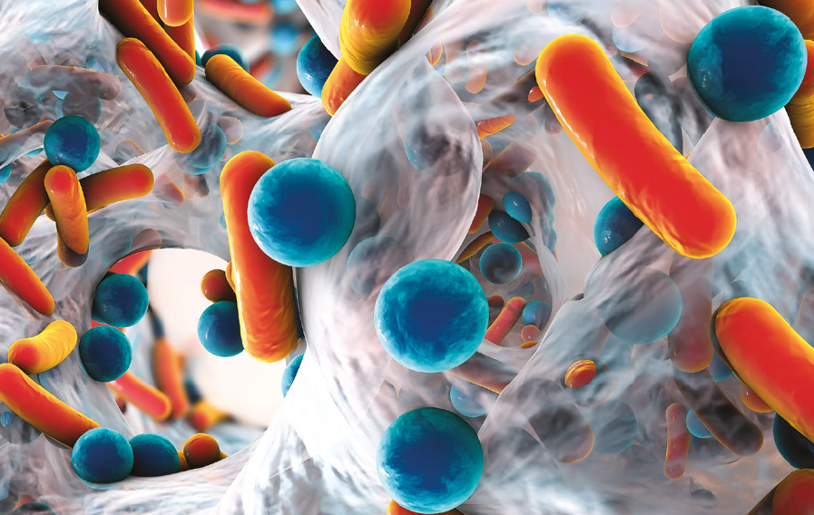 Bio-based Bacteria Beating Antimicrobial Additive Solutions!