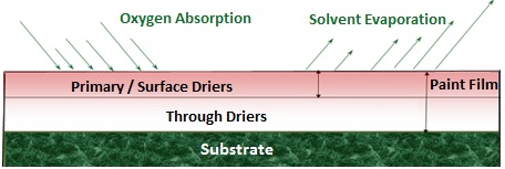 Paint Driers: Types, Test Methods & Drying Process