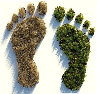 High-performance Bio-based Polyols for High-end Applications