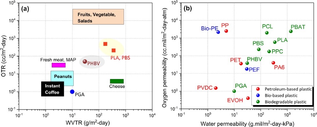 Bioplastics 101: Making the Right Biopolymer Choice
