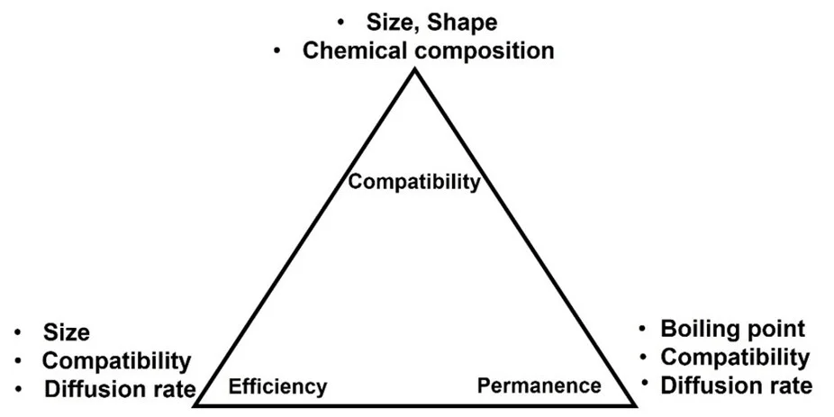 Polymer Plasticization: Theories, Types, Process & Key Factors
