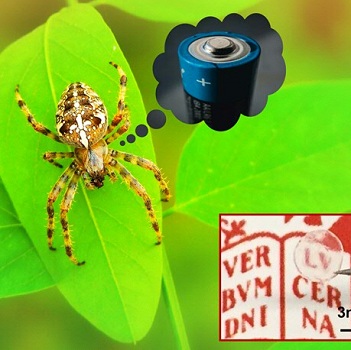 New Spider Silk-inspired Proton-conducting Polymer for Bio- electronic ...