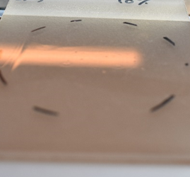 Using HSP to Select Coalescents and Improve Film Formation