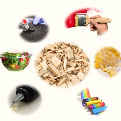 Advancements in Wood Biomass Derived Bio products