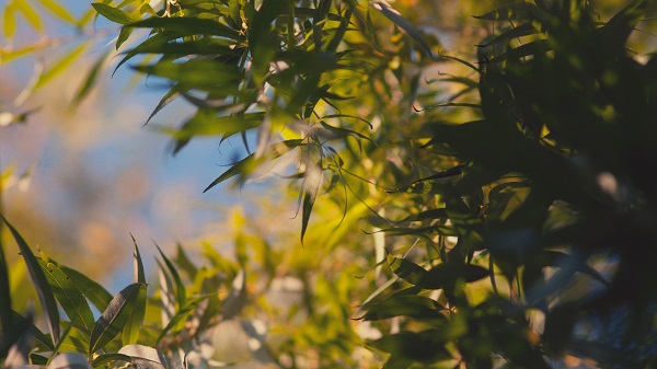 ACTEGA Launches PFAS-free & TSCA Compliant UV Coatings