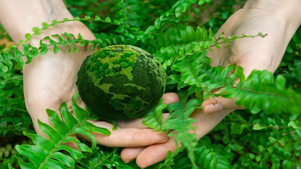 Aramco Partners with Linde and SLB to Develop CCS Hub in Saudi Arabia