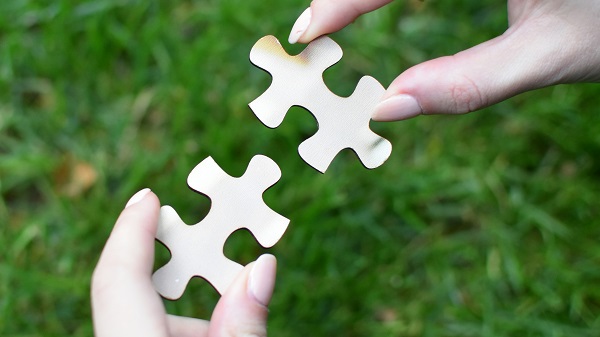 BASF & Forestal partner on e-methanol production using carbon capture ...