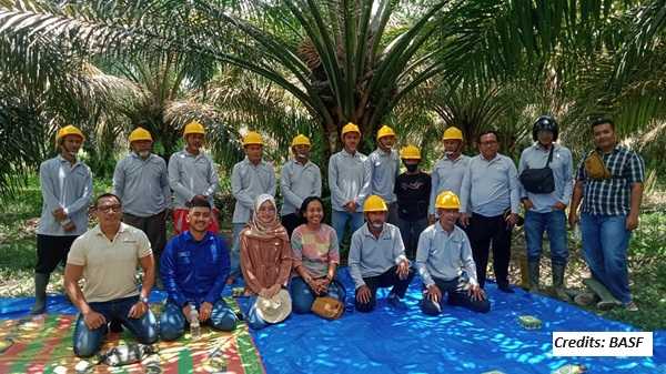 BASF and Others Support Enhanced Sustainable Palm Oil Production in ...