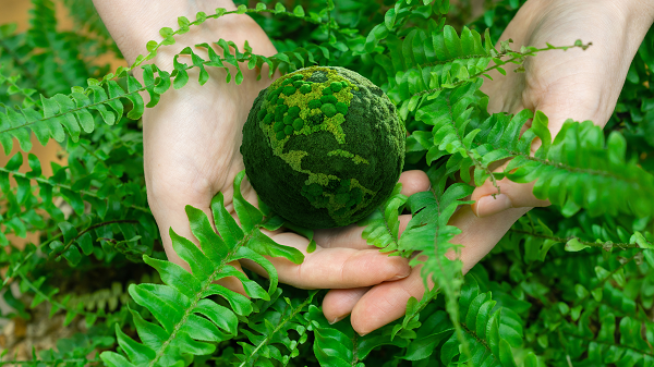 BASF Performance Materials Unveils Roadmap to Achieve Carbon Neutrality ...