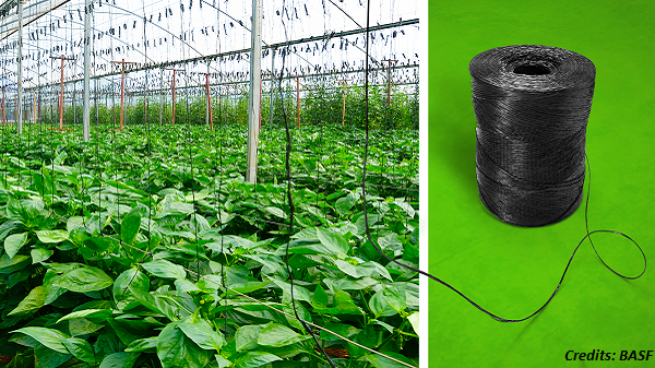 BASF's Compostable Biopolymers Used to Develop Greenhouse Twines