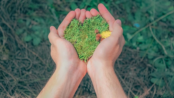 Givaudan Receives Validation from SBTi for Its 2045 Net-zero Targets