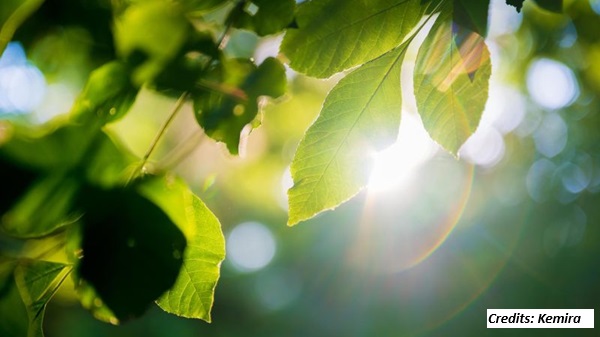 Kemira and IFF Announce Completion of Renewable Polymer Plant in Finland