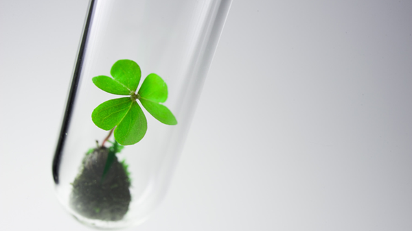 New Energy Blue and ARCO/Murray Partner to Produce Sustainable Chemicals