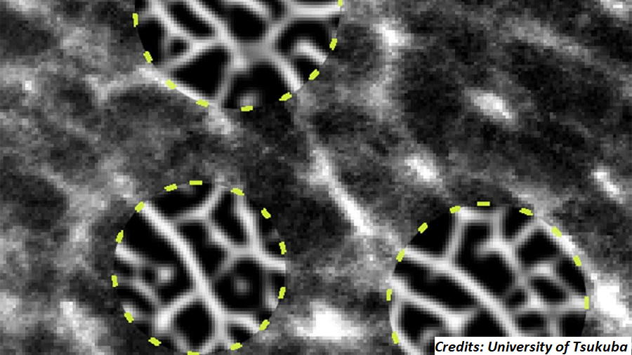 New Imaging Method Allows Clear Visualization of Nanoscale Structures ...