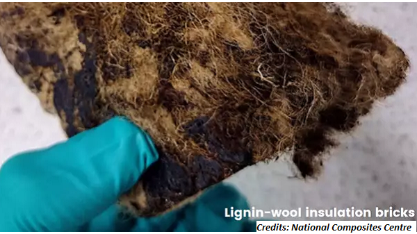 Project Transforms Lignin to Composites as Alternative to Fossil-based ...