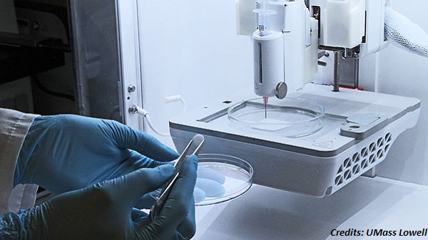 Researchers Develop 3D Printed Bone Tissues Using Synthetic Polymer and ...