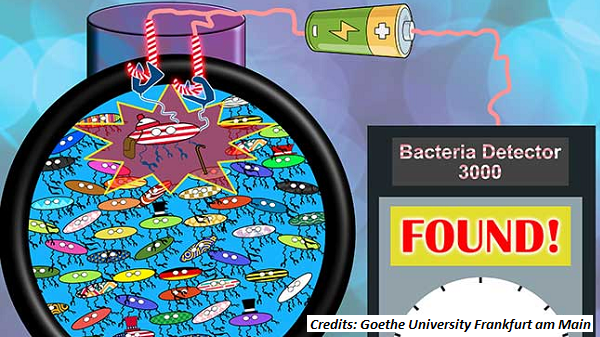 Researchers Develop Bacterial Sensor Based on Chip with Innovative ...