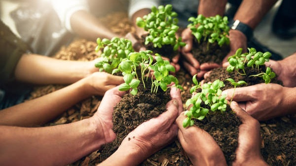 Solvay Receives Certification for Its Bio-circular DMAPA Manufacturing ...