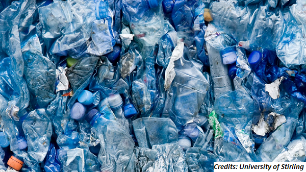 Study Uncovers the Role of Bacteria in Tackling Marine Plastic Pollution