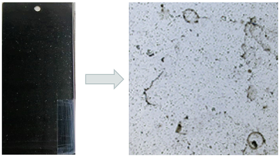 New Hydrophilic Transparent Coatings: Excellent Durability and Anti ...
